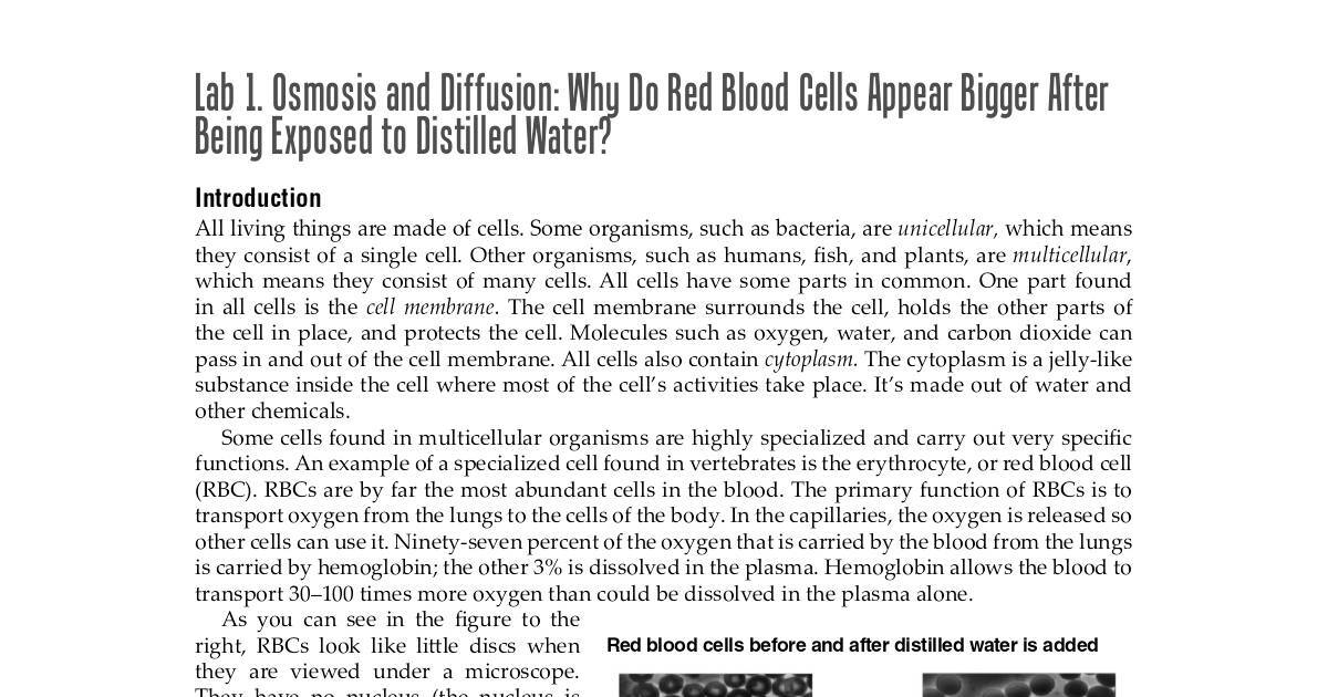 ADI Lab 1 Osmosis and Diffusion | DocHub
