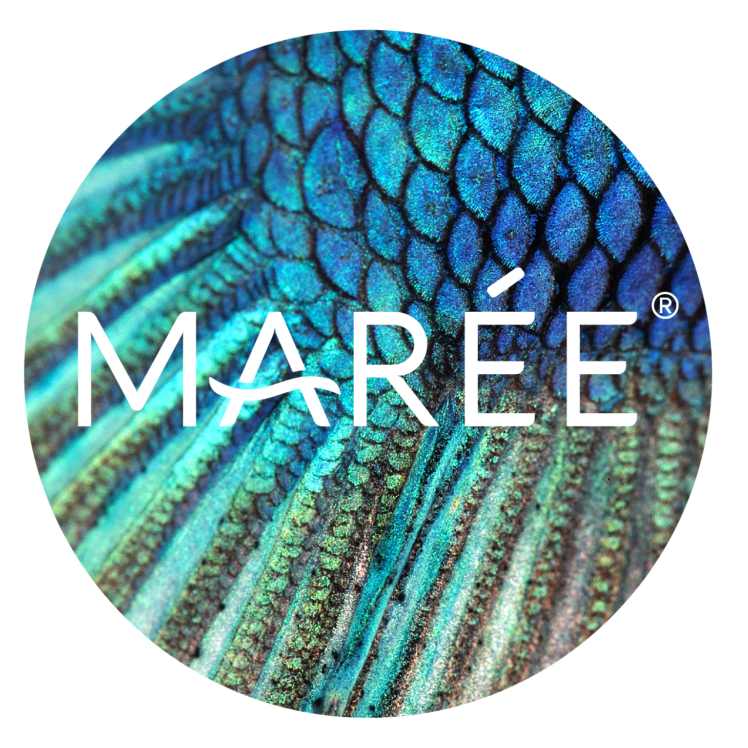 Dashboard | Meet Maree | DocHub