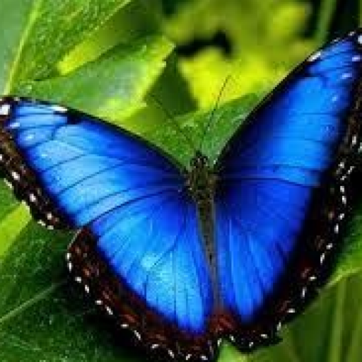 Dashboard | Tiffany Lees | DocHub