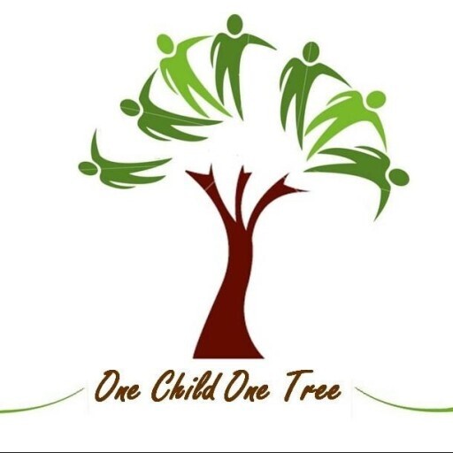 Dashboard | Nathan Wangusi | DocHub