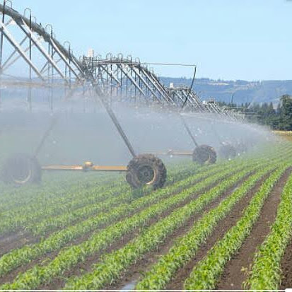 Dashboard | Alex Kabwe | DocHub