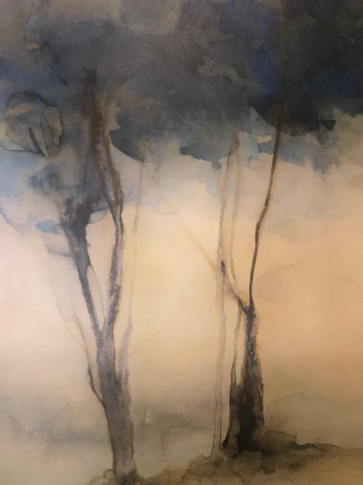 Dashboard | Tiffany Ericson | DocHub