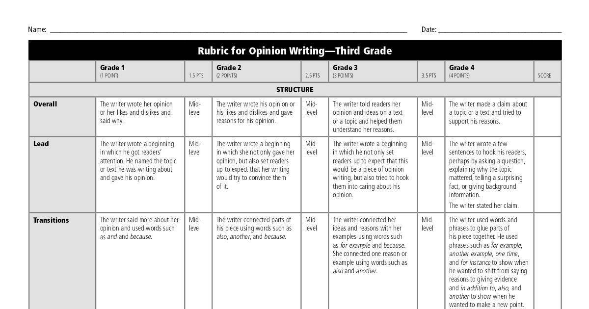 Opinion Rubric | DocHub