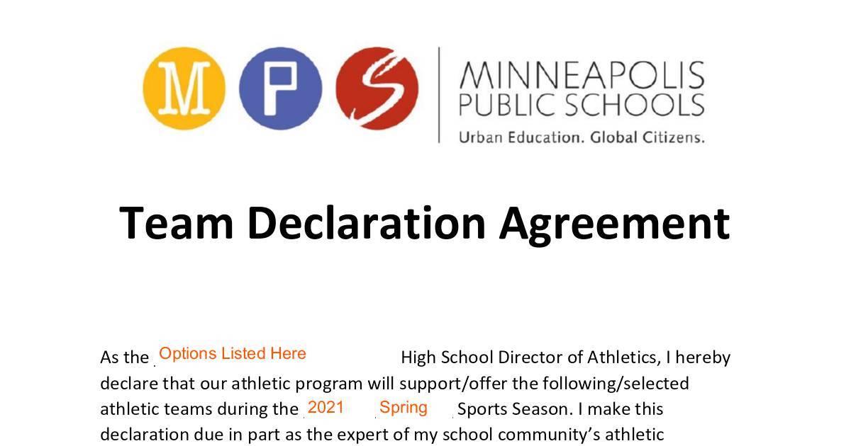 Team Declaration Agreement.pdf | DocHub
