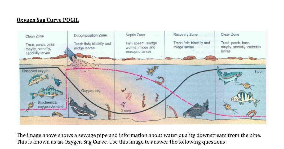 Oxygen sag curve POGIL v2.pdf | DocHub