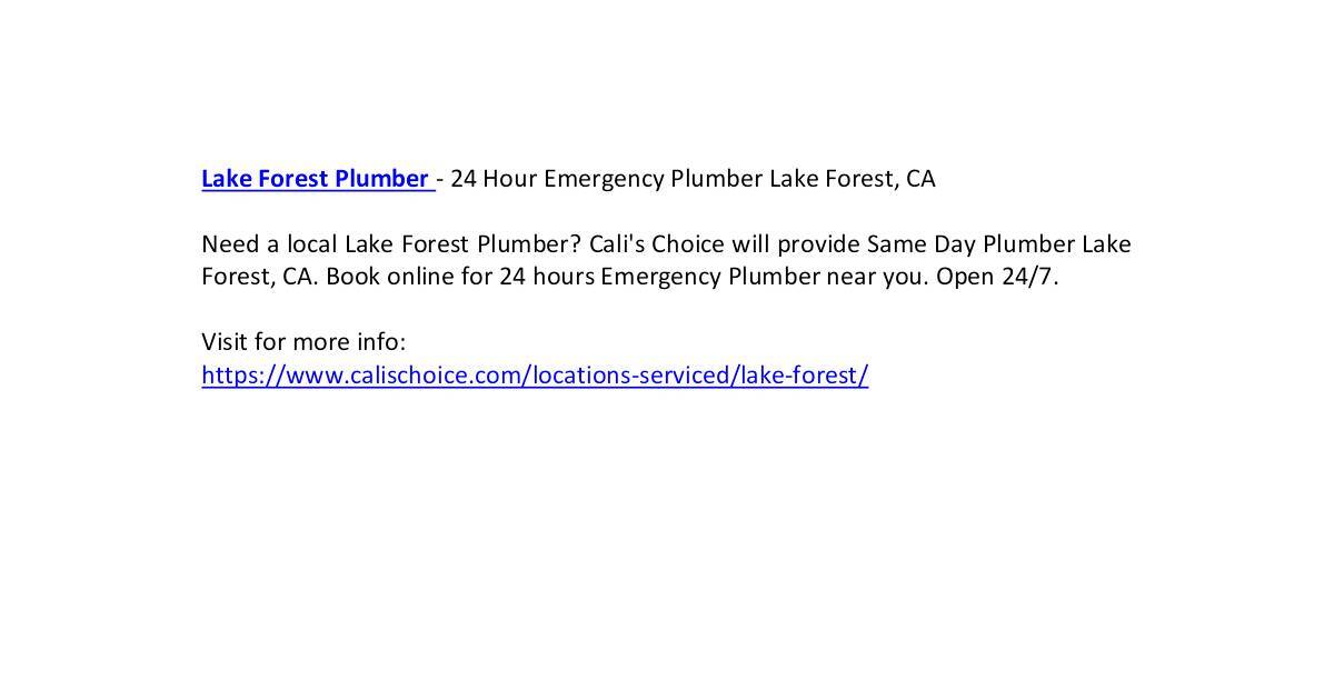 Lake Forest Plumber.pdf | DocHub