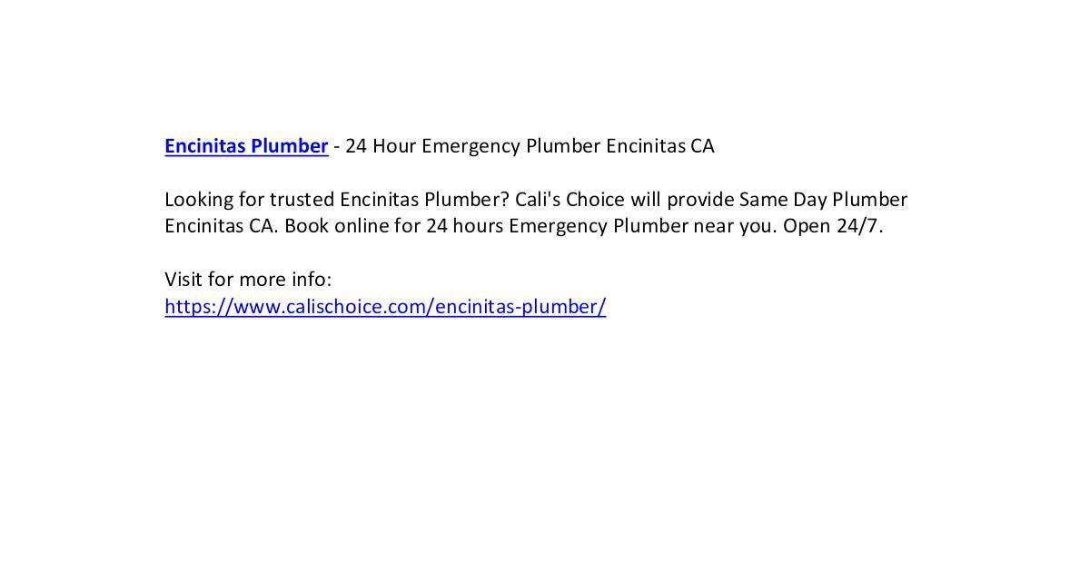 Encinitas Plumber.pdf | DocHub